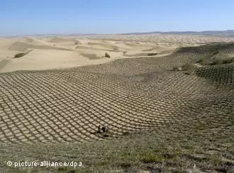 Lutando no deserto