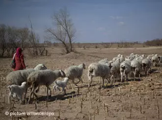 Uwezo mkubwa wa malisho ni msiba wa kawaida wa rasilimali za umma