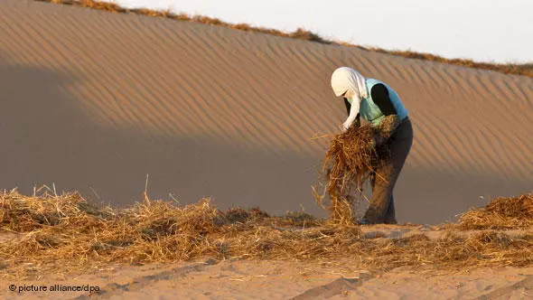 Sand da Stony Roves sun mamaye kusan kashi 27 na China