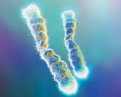 Telomery (lekkie końce chromosomy)