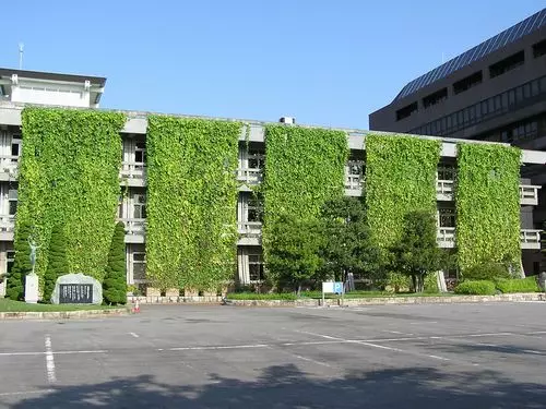 Grønne gardiner på bygningen i byen Anjo Prefectures of Aichi, Japan