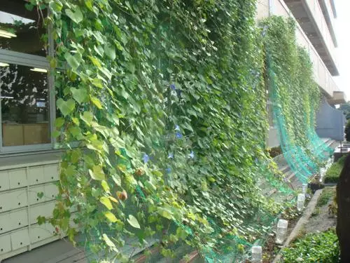 Зелени завеси на зградата на основната школа на Nakajama, градот Ichinomiya, Јапонија