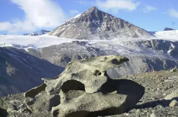 Valea uscată în Antarctic