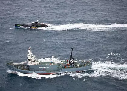 Sea Shepherd Gojira.