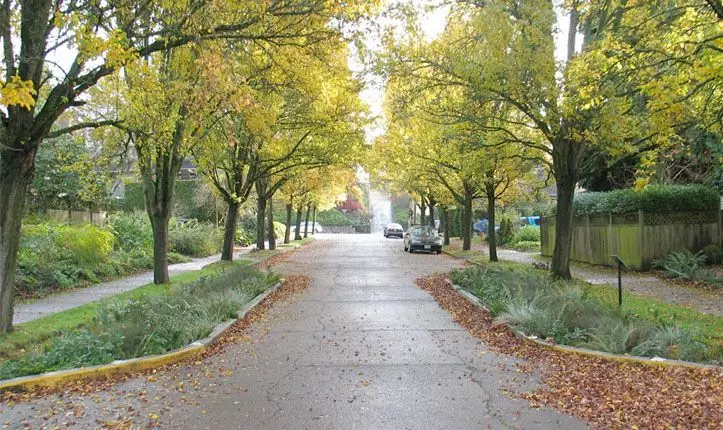 Кіраванне Ліўнестока на паўночна-ўсходняй зялёнай вуліцы Siskiyou, Портланд, ЗША