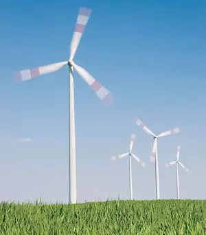 Windmills improve microclimate nearby fields