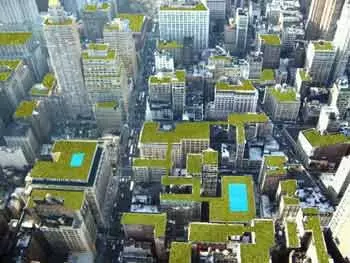 Příklady udržitelných krajin - uspořádání zelených střech