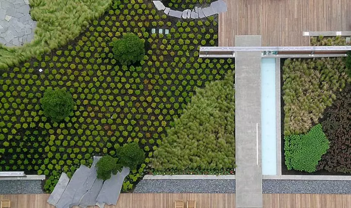 Zelená Washington vzájemná střecha v Seattlu, USA