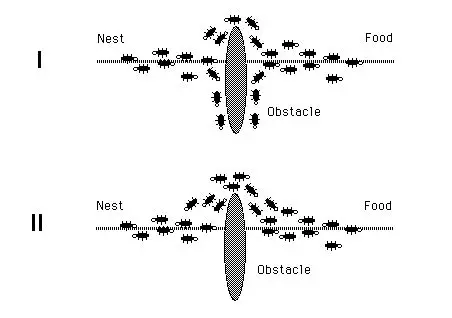 Upang mahanap ang pinakamaikling landas sa layunin ng mga ants, gamitin ang mga marker mula sa pheromones