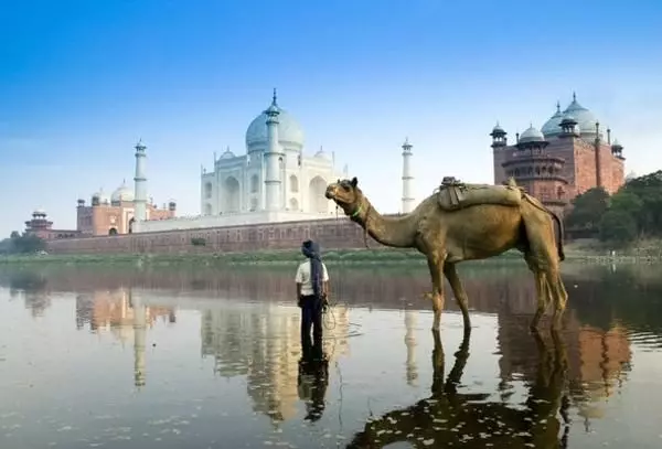 Taj Mahal est nettoyé des ordures modernes 5903_3