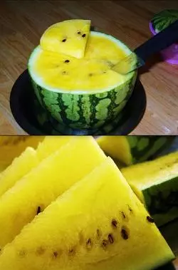 Yellow Watermelon