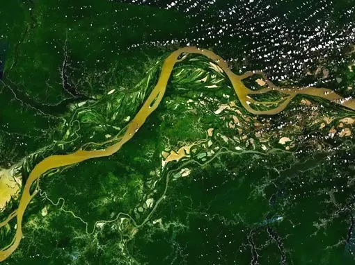 Río Amazonas e Bosque tropical