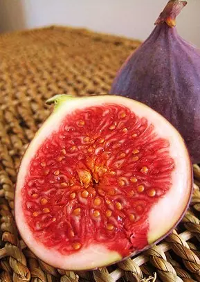 Fig