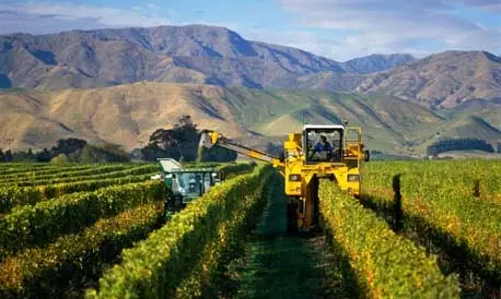 Produktado de vino en Nov-Zelando
