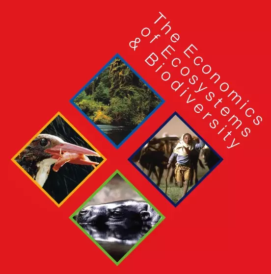 Economia ecosistema i biodiversitat (TEEB)