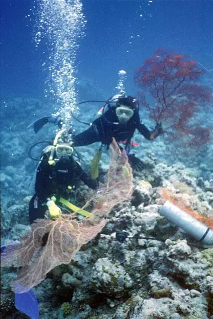 Corals-ийн судалгаа нь Далайн термоклин ба дэлхийн дулаарлын өөрчлөлтийн хоорондын харилцааг баталж байна