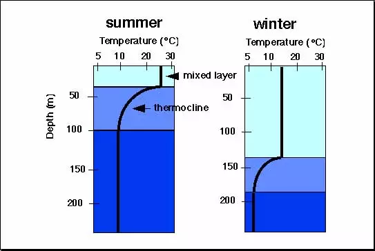 Thermoclin. Çep - havîn. Rast - Zivistan.