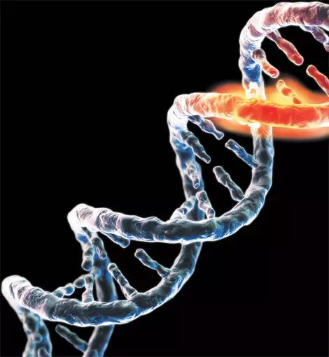 Bisphenol Structure A.