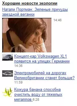 Dit sil útsjen as facepla.ND-widget op Yandex