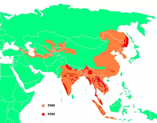 Zemljevid območja tigrov v različnih letih
