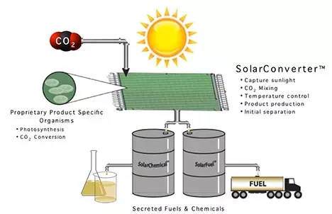 SolarConverter - با استفاده از باکتری های فتوسنتزی برای تولید بیودیزل