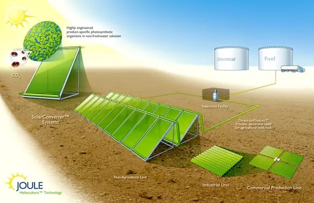 نصب برای تبدیل CO2 به بیودیزل تحت تاثیر نور خورشید