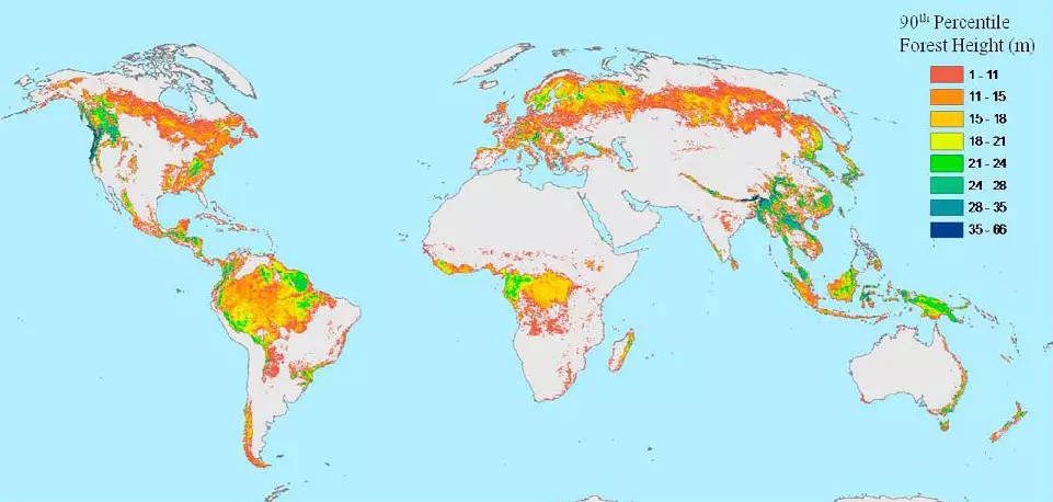 Loodud globaalse metsa kõrgus kaart