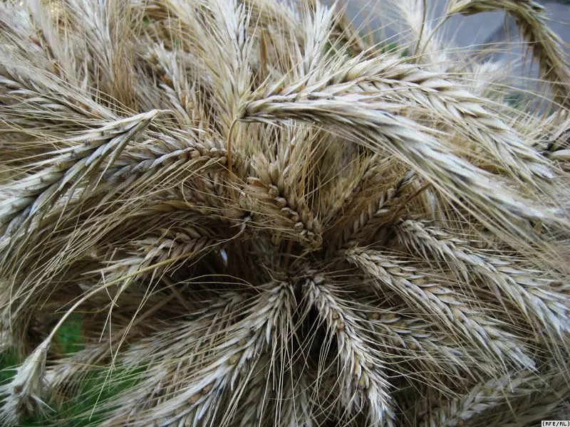 Agroekológia na Ukrajine