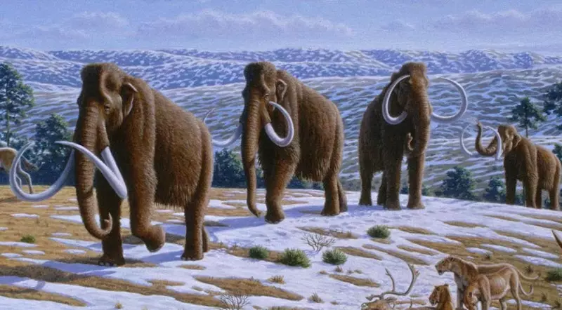 L-art kienet il-mammoths estinti?