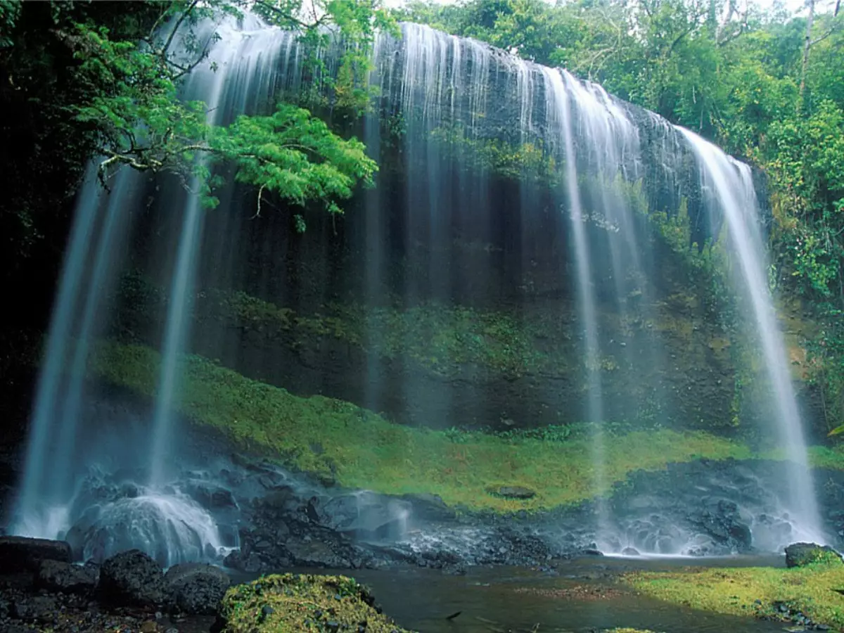 Ecotourism: handbook alang sa mga nagsugod