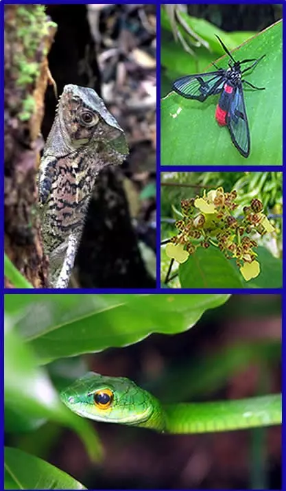 私たちの生物多様性の重要性