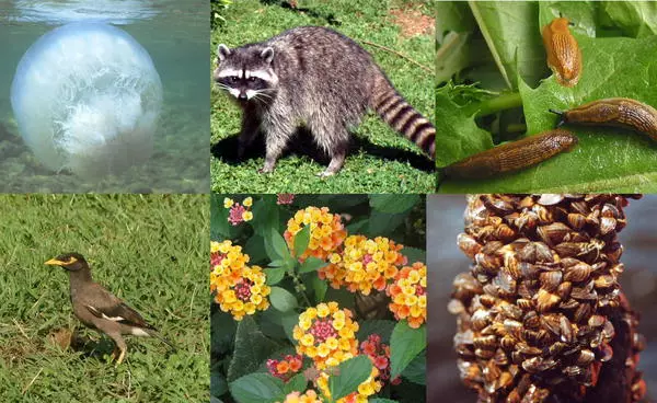 生物多様性