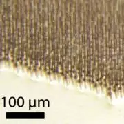 Overflaten av det nye solbatteriet under mikroskopet