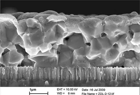 Elemento altamente efficiente della batteria solare da IBM da materiali facilmente accessibili