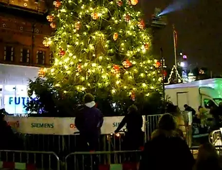 Groene kerstboom eet "groene" energie uit fietsen