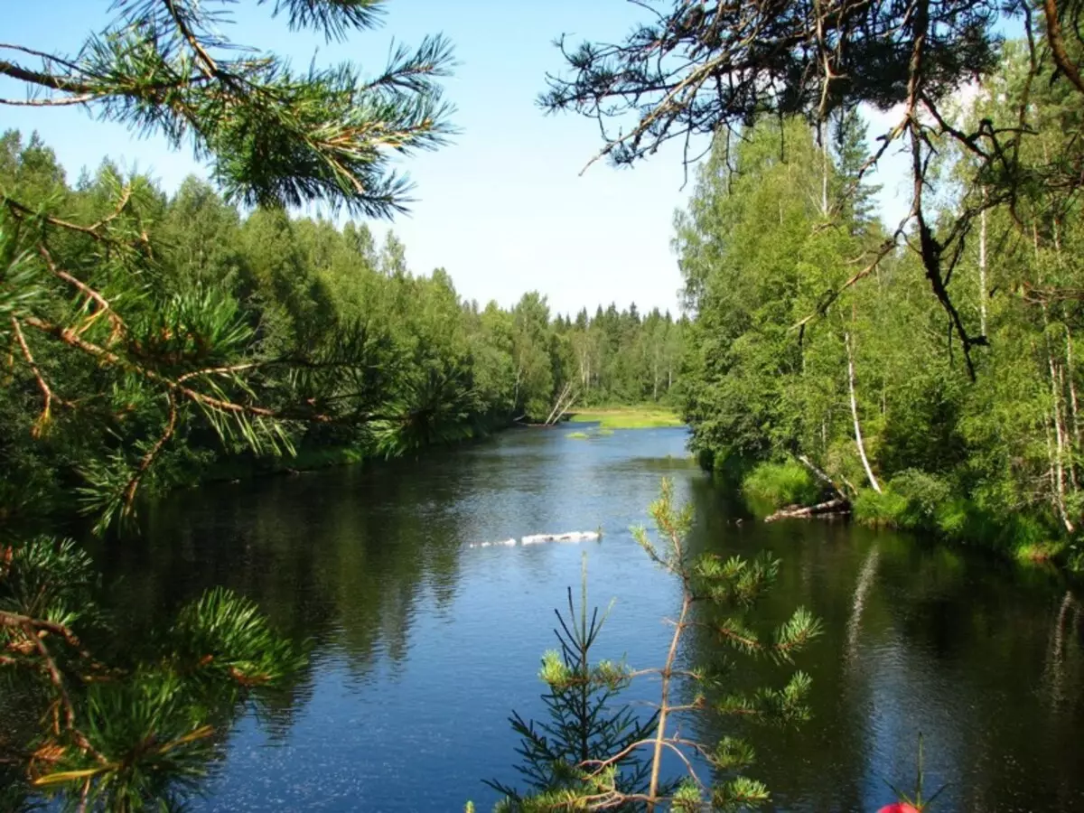 Očuvanje šuma - spasila sa zemljama Ekosistema (WWF)