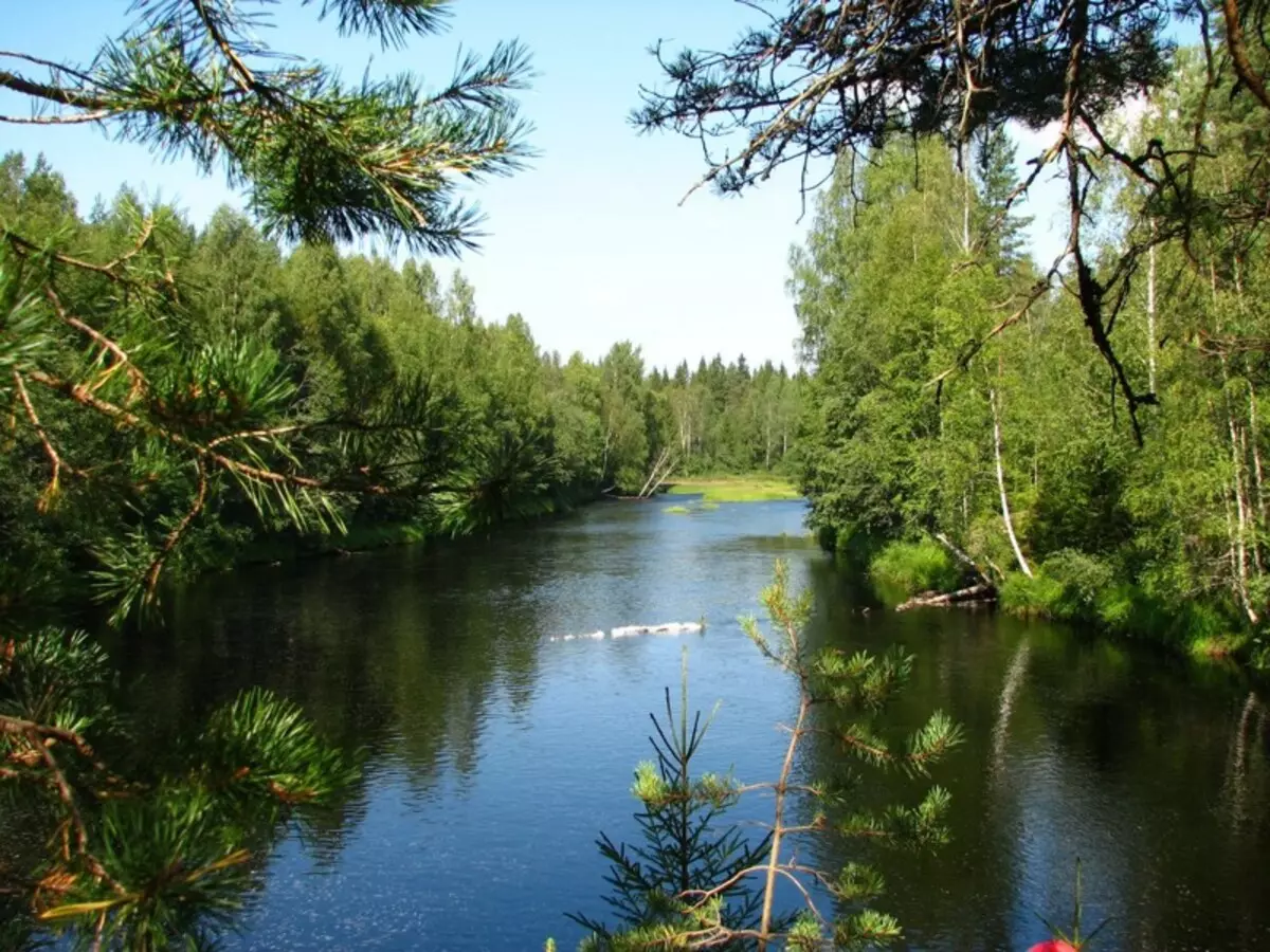 Meşələr Karelia