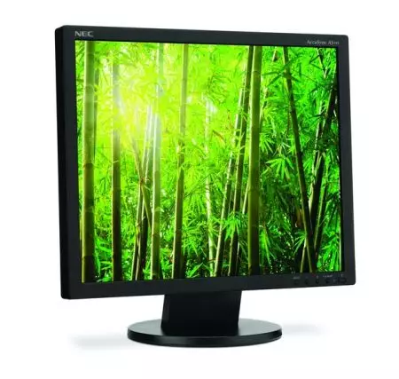 Accusync - Gazdasági monitorok a NEC-től