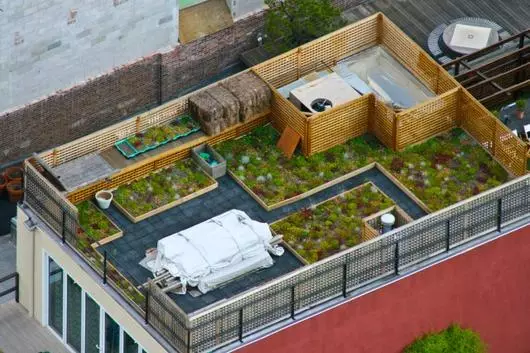 Zöld udvarok az épületek tetőin