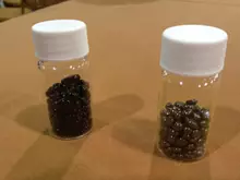 Les comptes en aquestes ampolles estan fetes de dos tipus de vidre, que poden emmagatzemar calor a 1200 ° C.