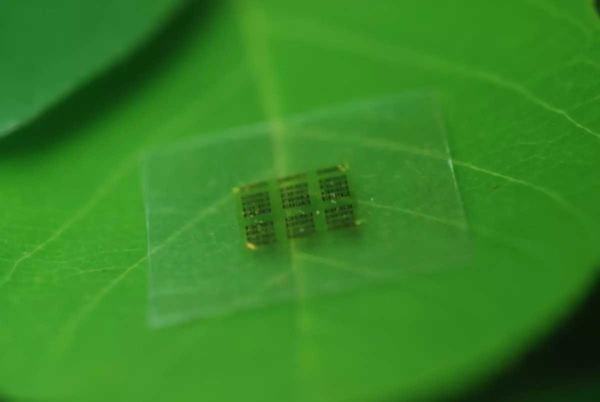 A biodegradable computer chip is made of wood. Facepla.net latest ecology news