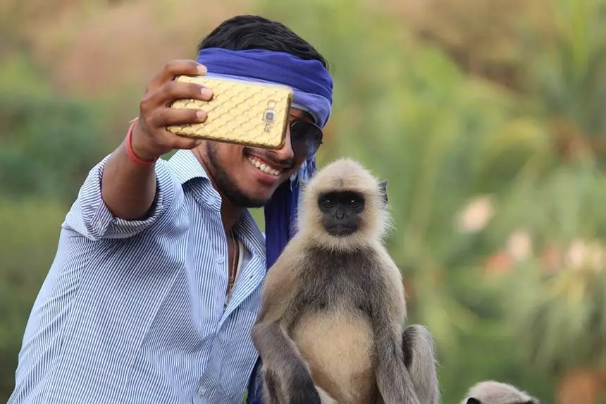 Kosta Rika ingin melarang selfie dengan binatang