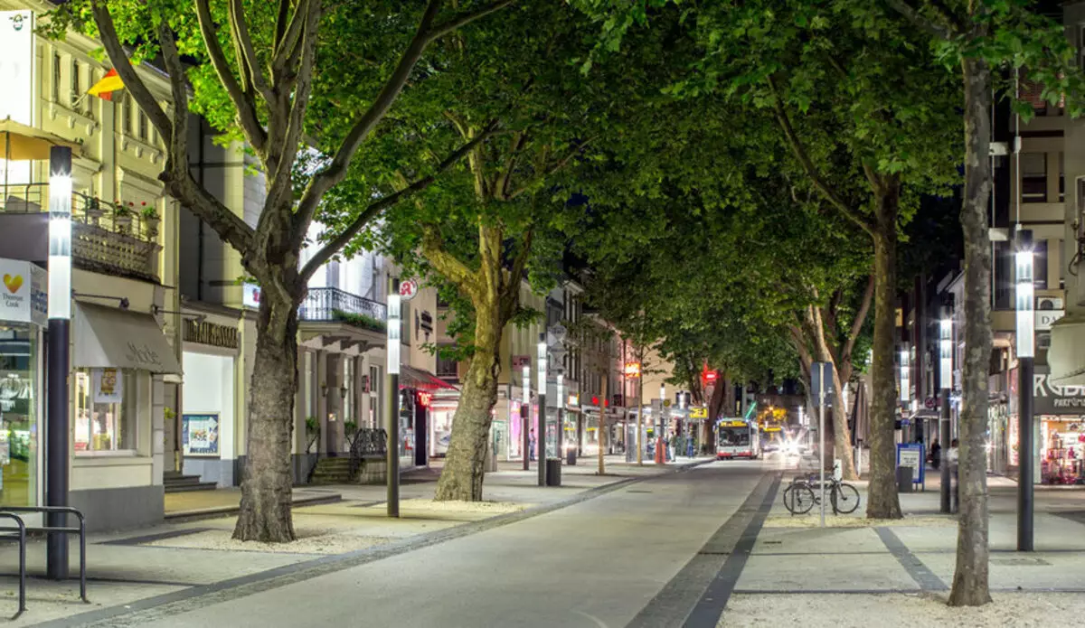 As árvores nas cidades podem capturar tanto carbono quanto uma floresta tropical
