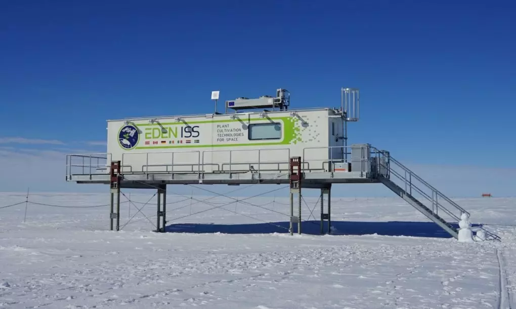 Gewächshaus in der Antarktis erhielt seine erste Ernte