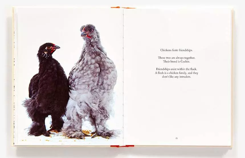 Isabella Rosselini ha scritto un libro sulle sue galline